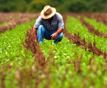 Dia do Produtor Rural: Produtores falam dos desafios e da ...