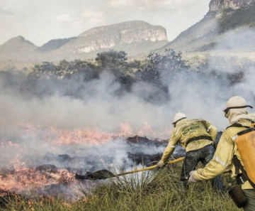 Queimadas controladas necessitam autorização e acompanhamento