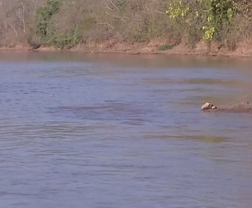 Adolescente de 14 anos se afoga em rio e é procurada pelos bombeiros em MT