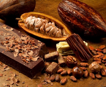 Produção de cacau cresce em 2017, beneficiada pelo clima