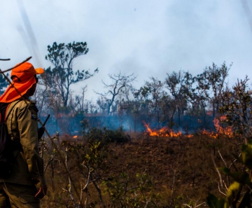 Temporada de combate a incêndios florestais começa em maio