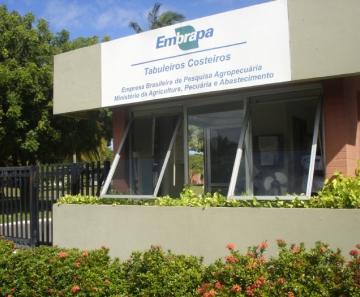 Embrapa muda gestão corporativa