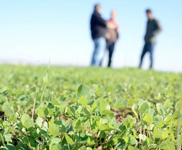 Projeto de lei garante mais uma alternativa a produtores rurais com ...